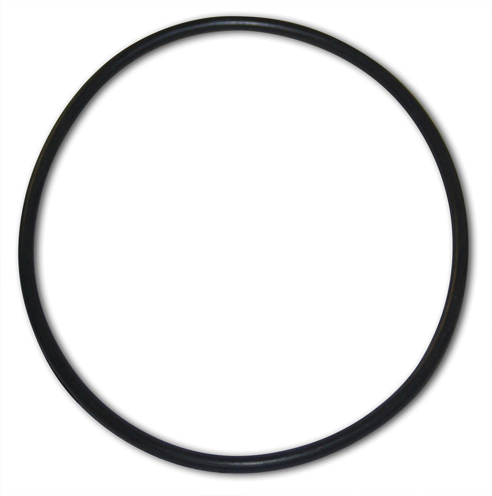 Autoteq 17342-01A00 Fuel Gauge O-Ring S13 – Fuelpumps.com